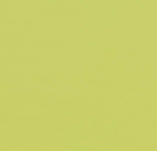 Marmoleum Furniture Linoleum - Desktop Collection Colour Spring Green ...